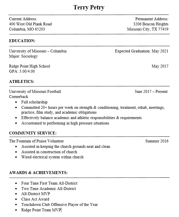 Professional Experience – Terry Petry